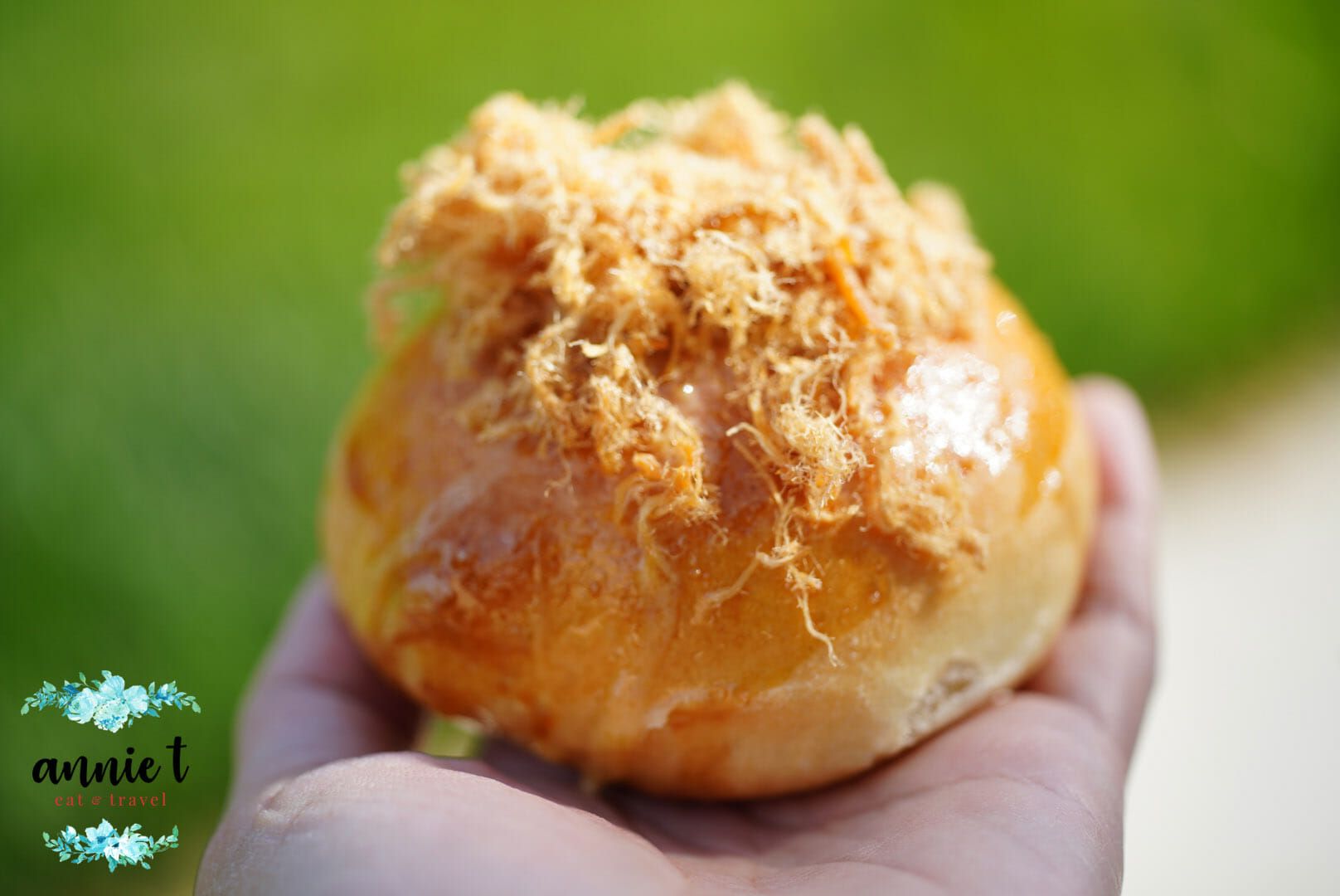 Dried Shredded Pork Bun Recipe – Annie T Eat Travel